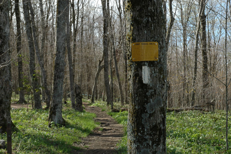 Damascus, Virginia Bike - Hike - Stay - Play